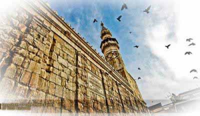 What is the scholarly opinion on the nature of the fard of establishing ...