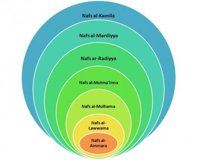 What are the differences between the different types of nafs (self ...